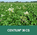 FMC Agricultural Solutions Norge - Velkommen